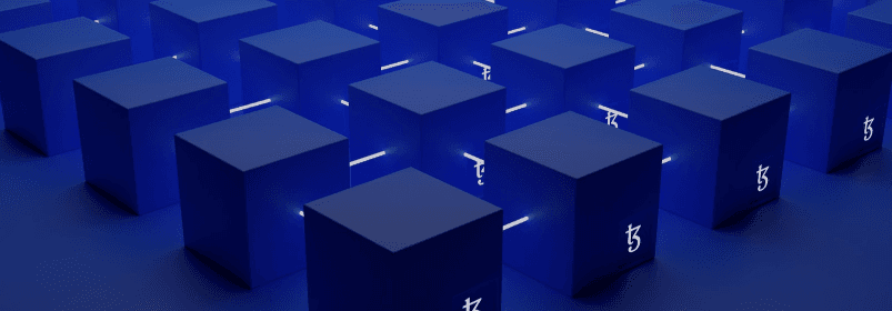 Service - Blockchain Dev | DX Software